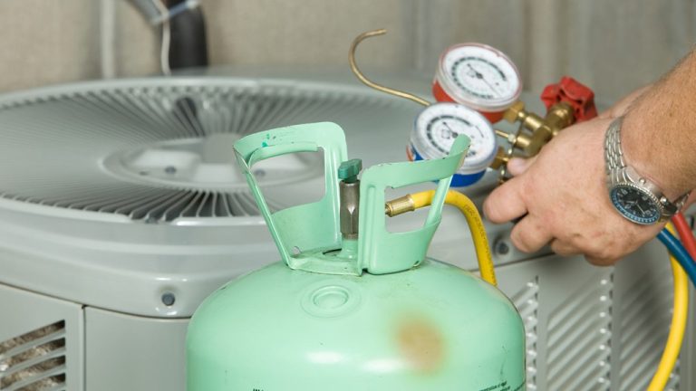 Ability Refrigerants: A Deep Dive into Reviews and FAQs - Sharara Decor